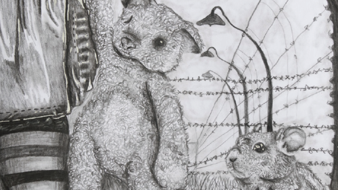 Exhibition: Struggle for Survival : salzburg.info