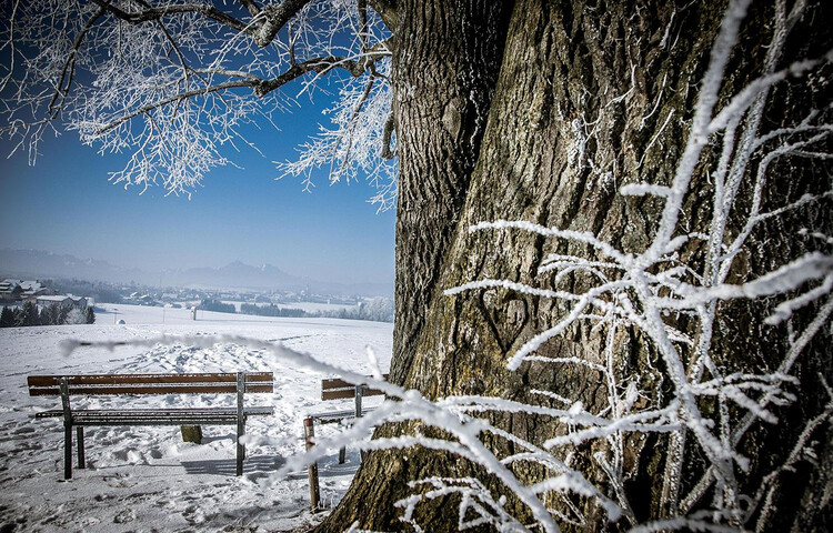 Photo exhibition “The Magic of the Cold Season” : salzburg.info