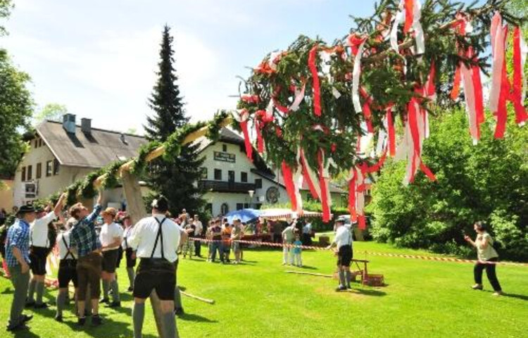 Setting up the maypole : salzburg.info