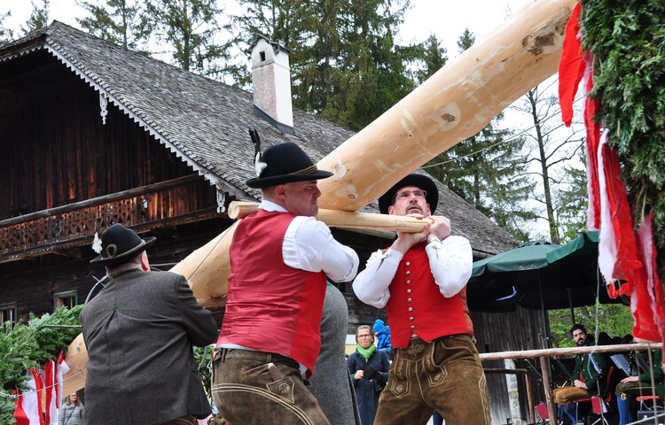 Maypole raising, Salzburg Open Air Museum : salzburg.info