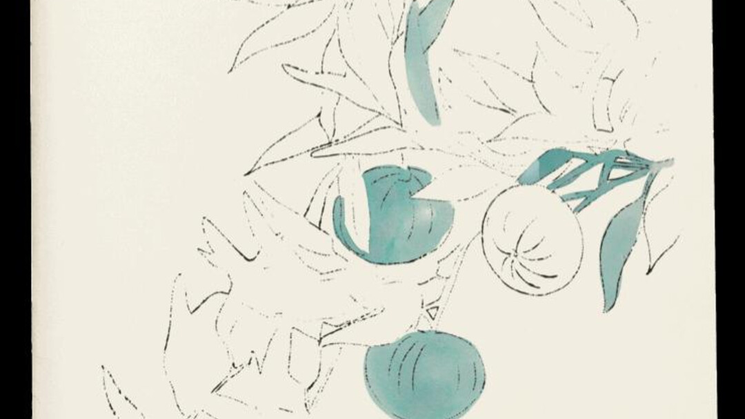 Snow from yesterday, snow from tomorrow : salzburg.info