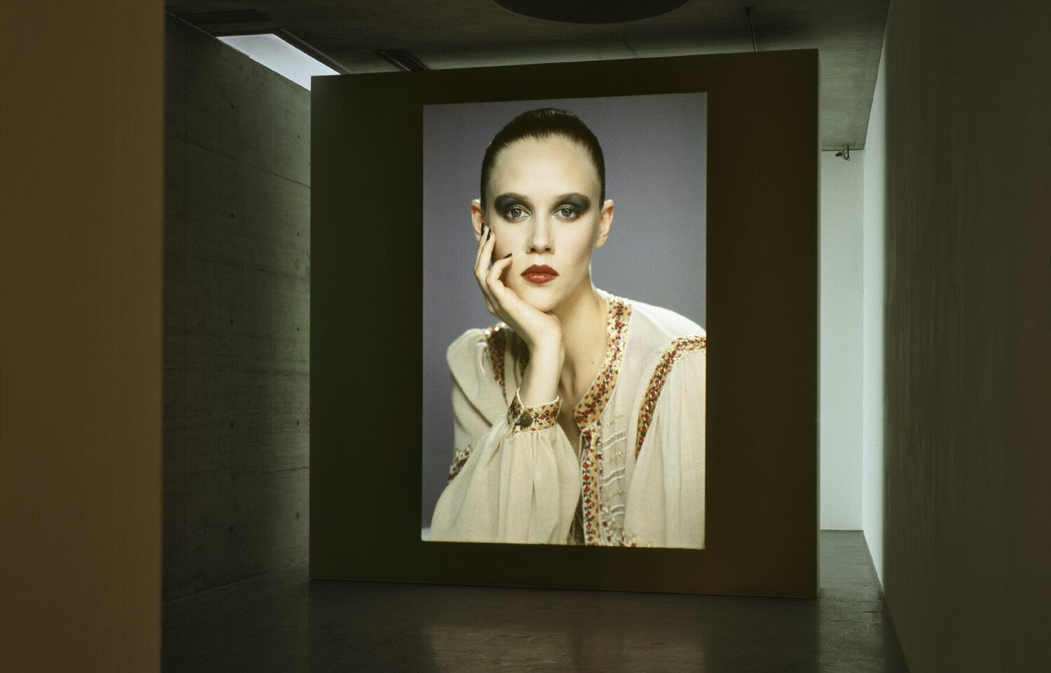 Visual Echoes: Counter-Images in the Stream of Pictures.