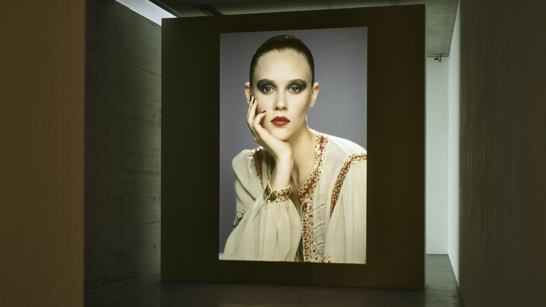 Visual Echoes: Counter-Images in the Stream of Pictures.