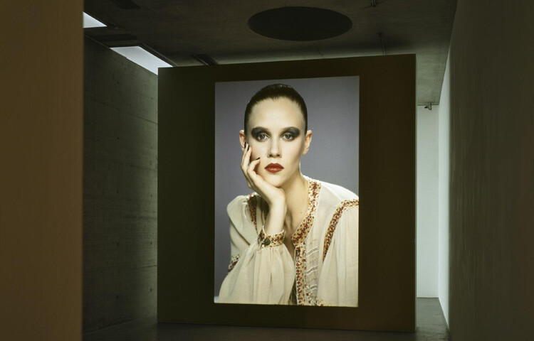 Visual Echoes: Counter-Images in the Stream of Pictures.