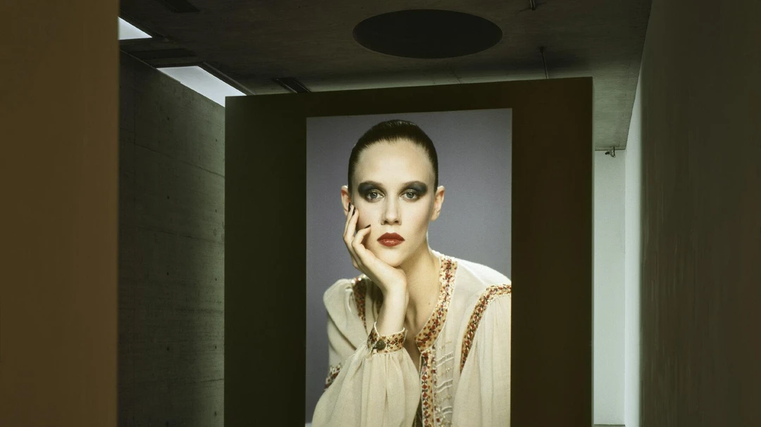 Visual Echoes: Counter-Images in the Stream of Pictures.