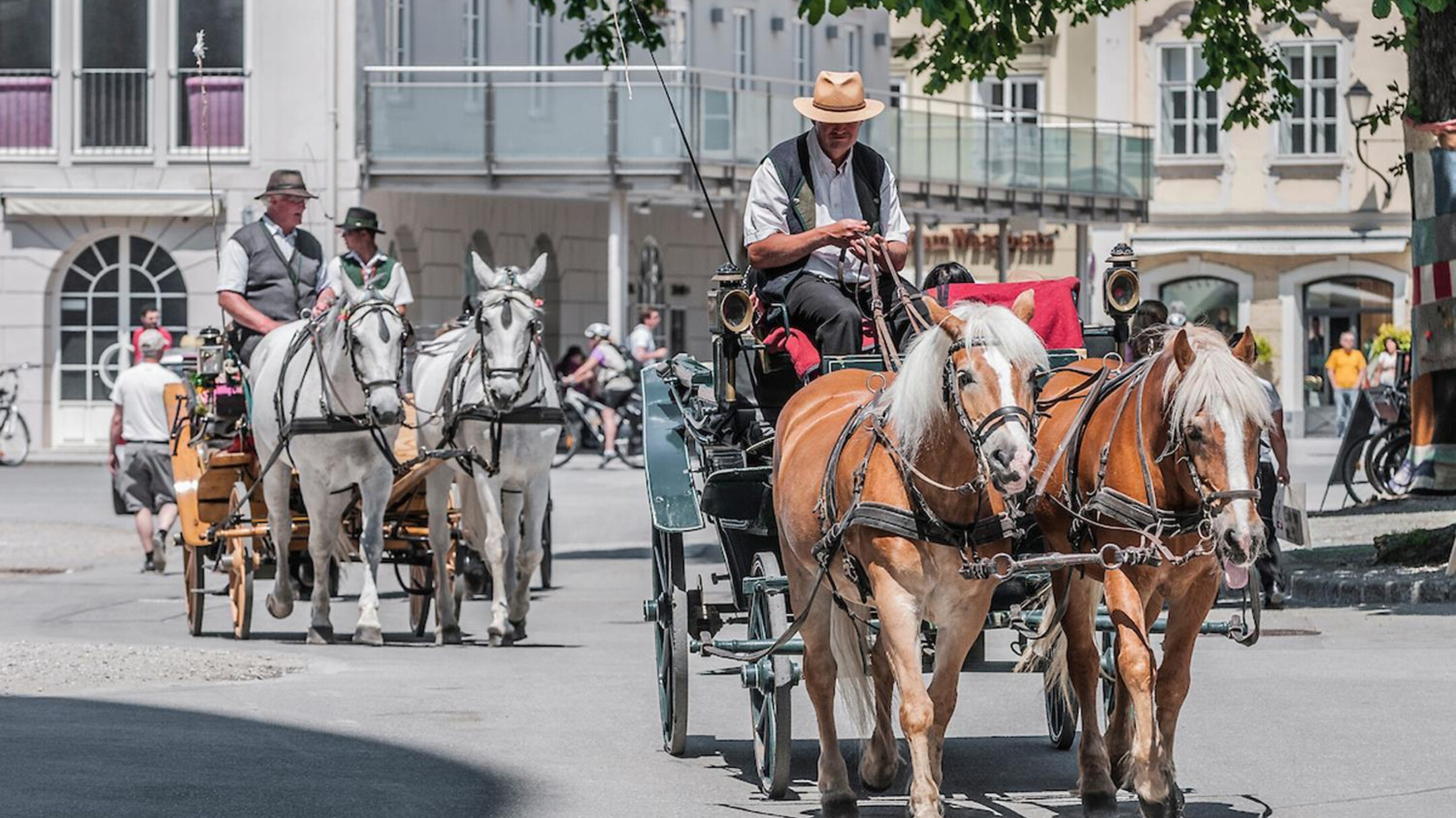 Fiaker : Rundfahrten in Salzburg : salzburg.info