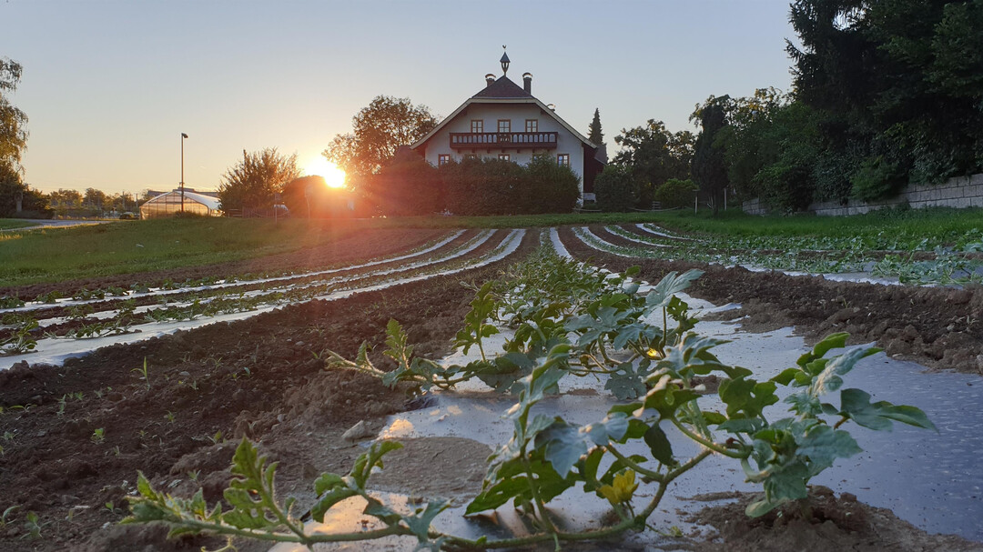Gabelmacher - Hofladen Putzhammer : salzburg.info