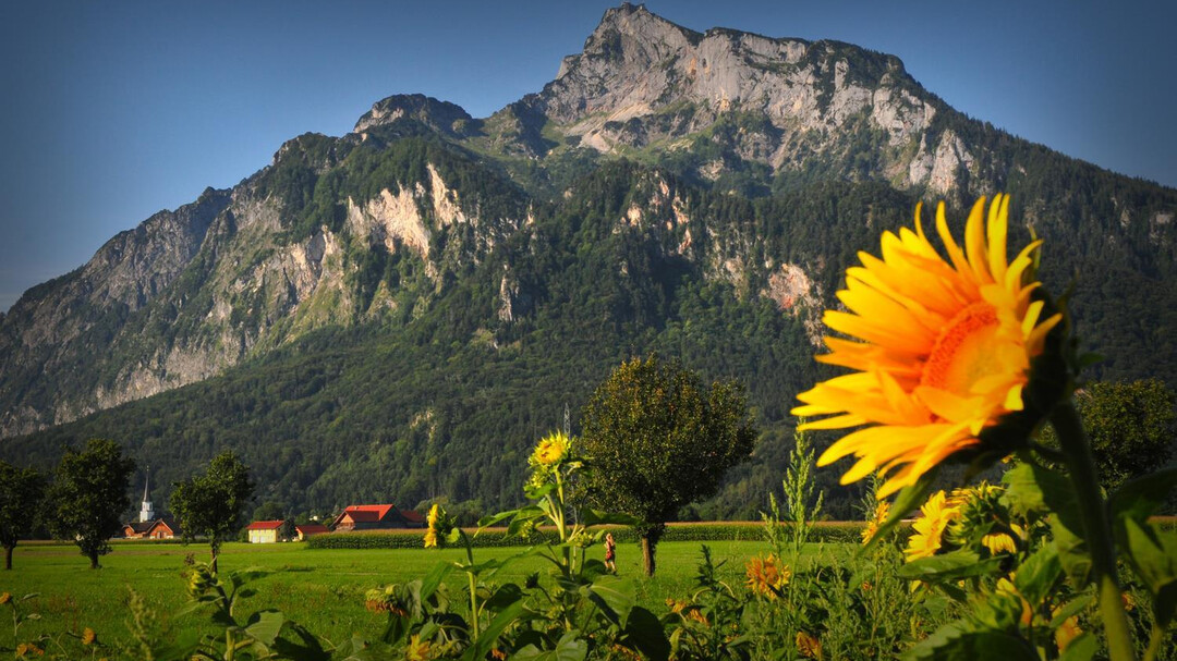 Untersberg : Natur in Salzburg : salzburg.info
